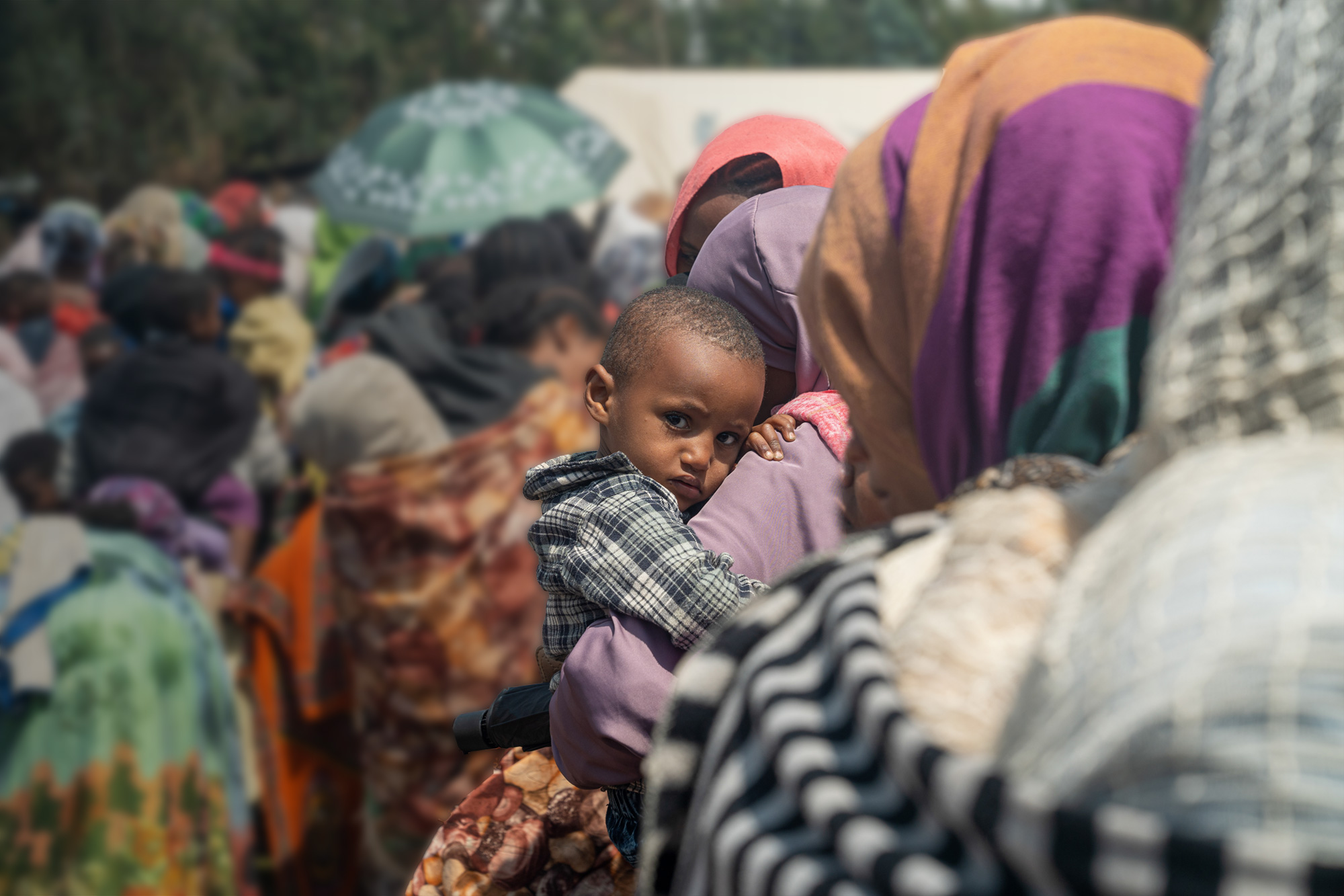 World Refugee Day 2024 - Social Media Toolkit | International Medical Corps