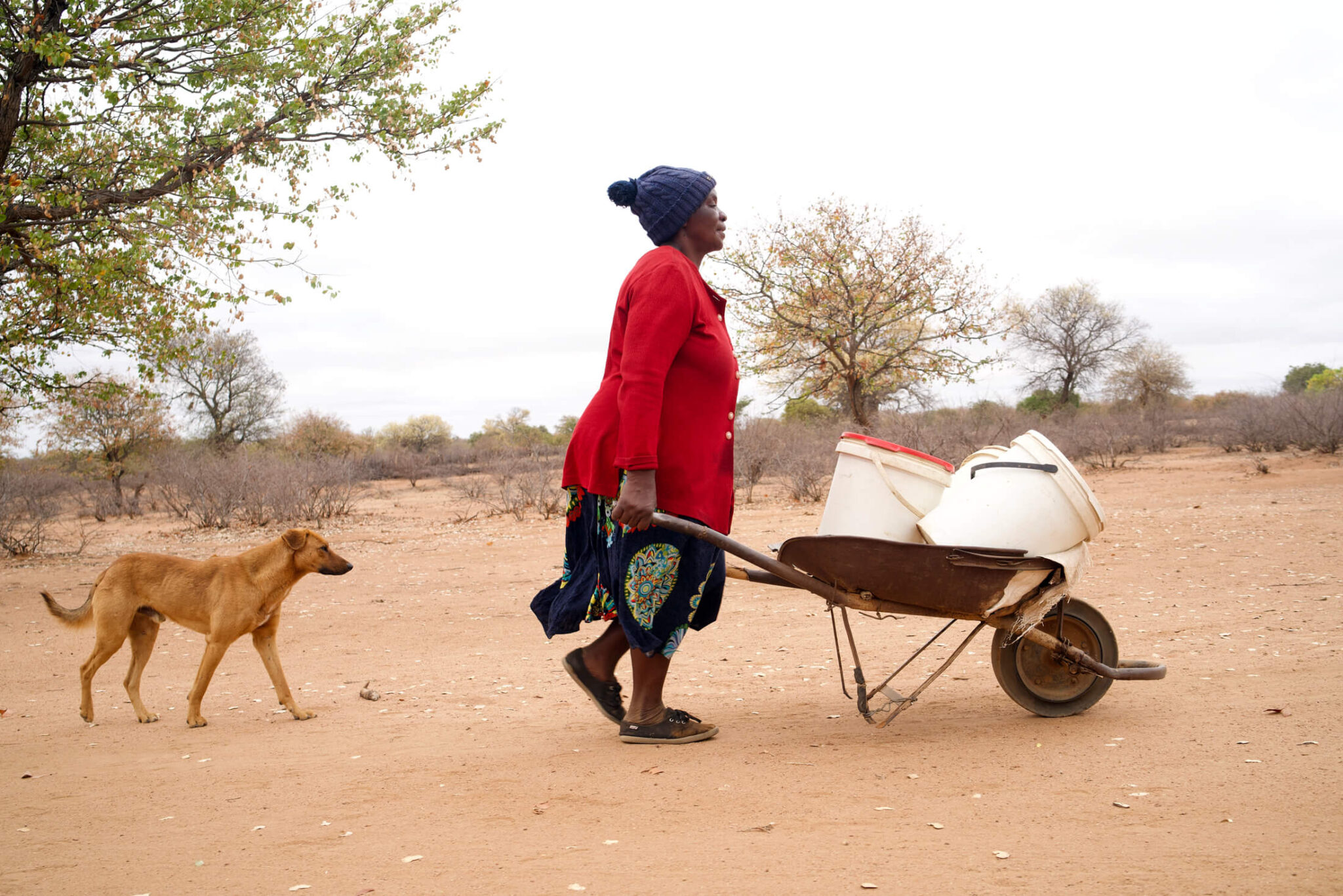 How Do You Build a Pit Latrine? One Brick at a Time | International ...