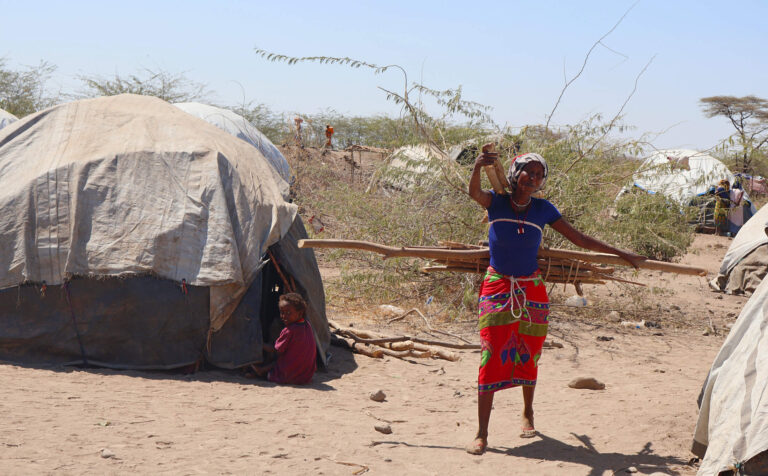 Emergency Response to Earthquakes in Ethiopia | International Medical Corps